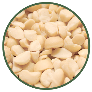 Kernel Style Guide - Mac-Eden Estate