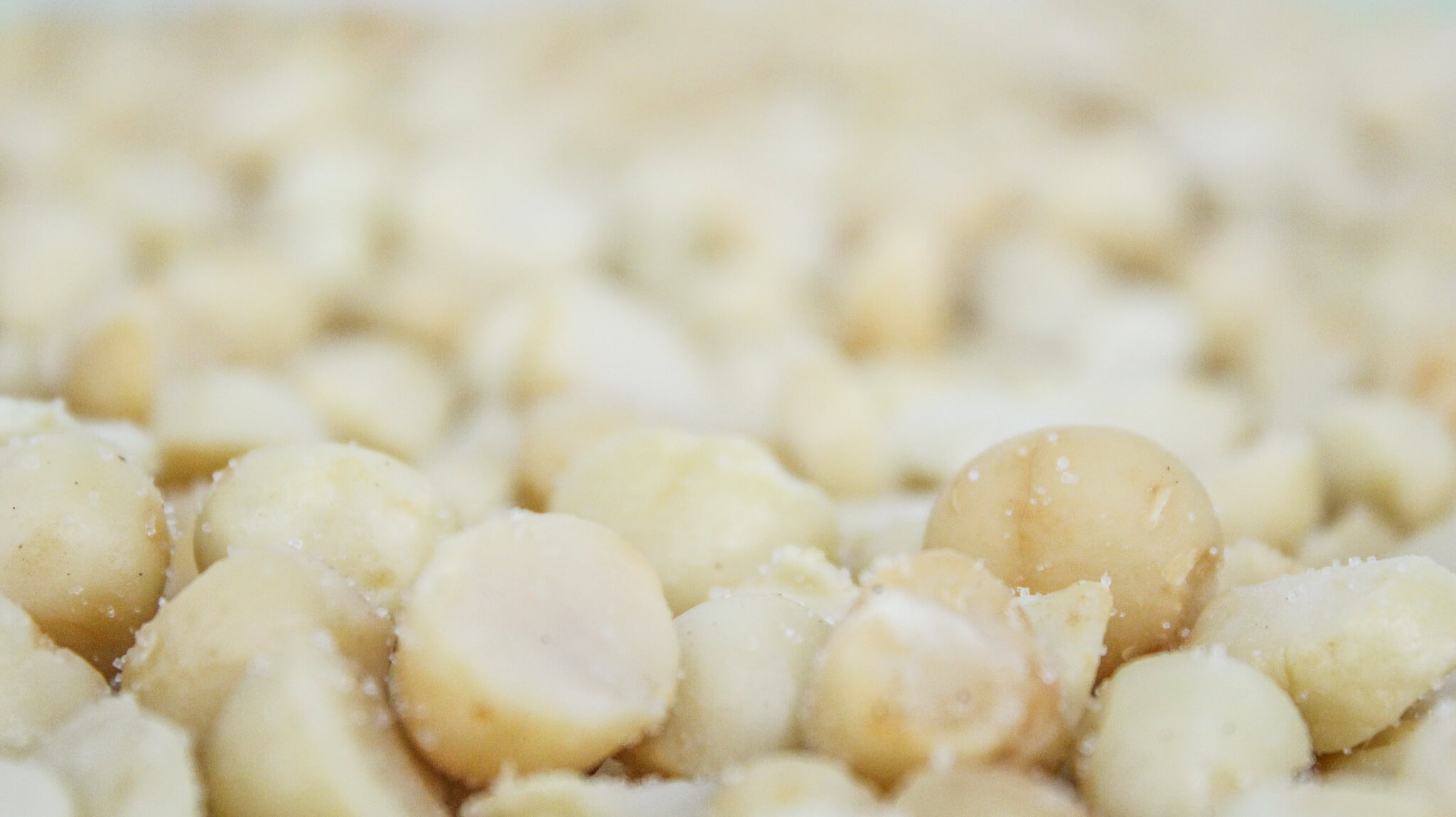 Macadamia processors South Africa - Mac-Eden Estate (Pty) Ltd